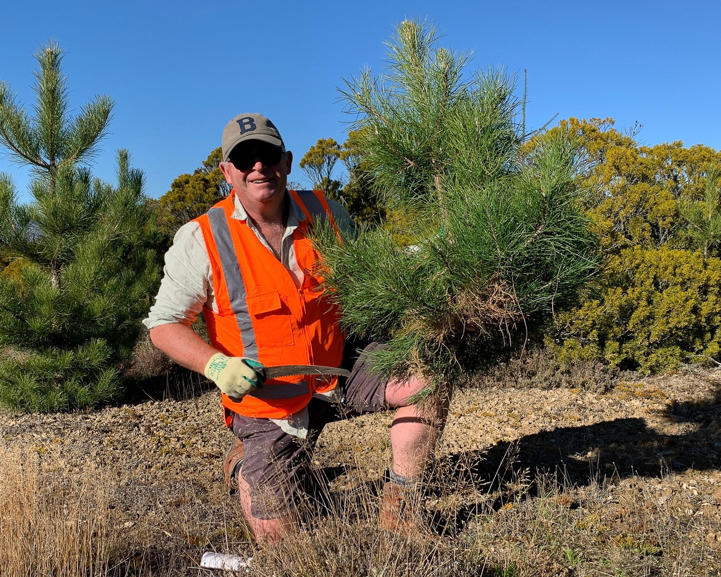 Wilding Free Mackenzie Volunteer Day | Al Brown & Co